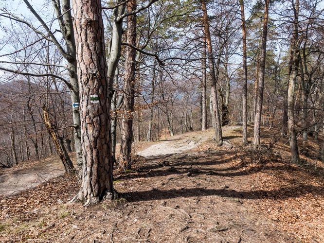Hrad Uhrovec - Pomalé výlety